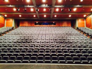 Performing theatres in Brussels | Theatre Shows, Plays